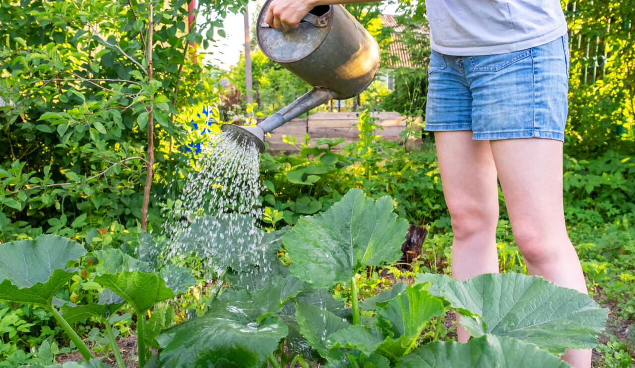 Seed Library | Huron County Library